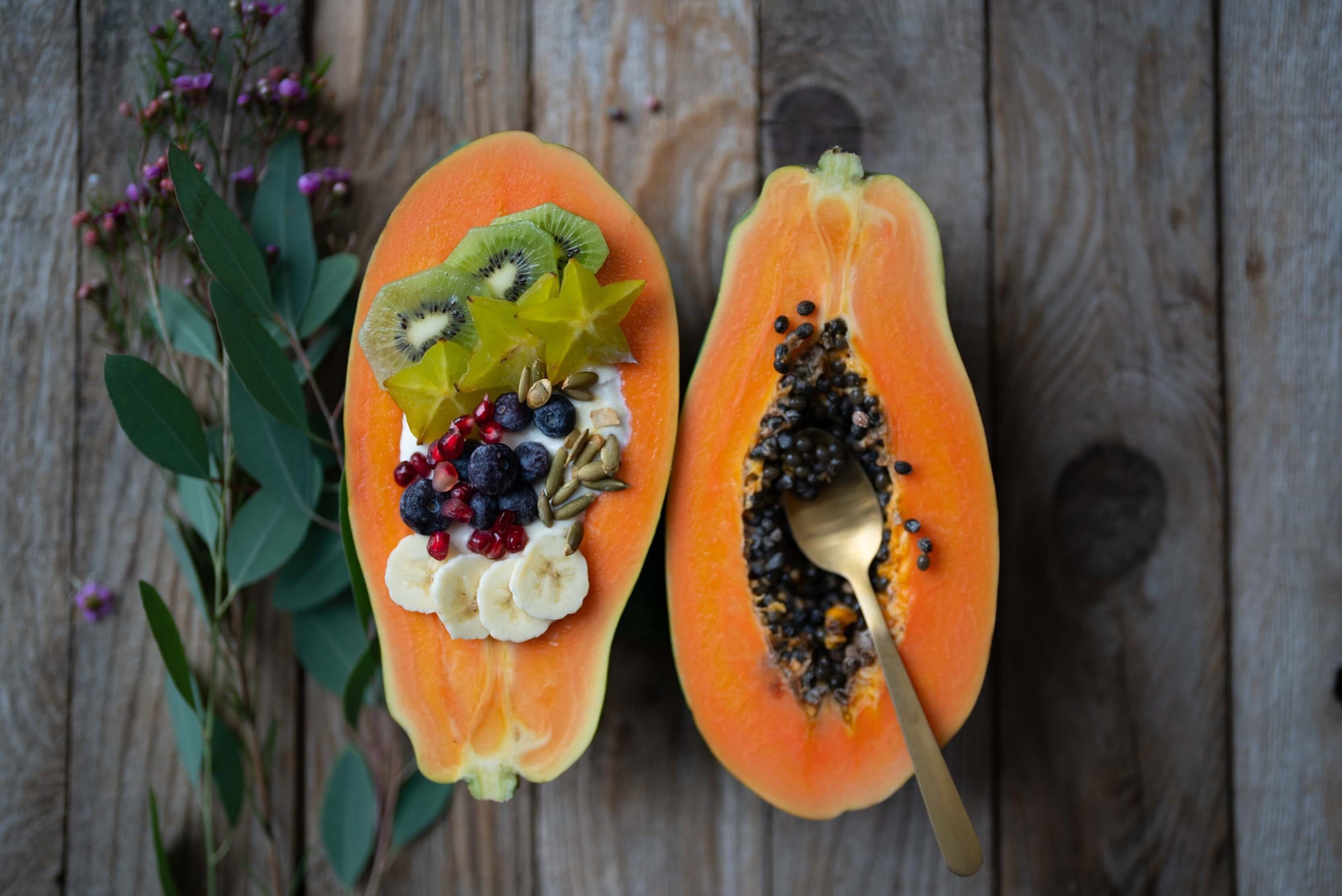 Lykaia Nutrition - Eat Wild. Perform Best.